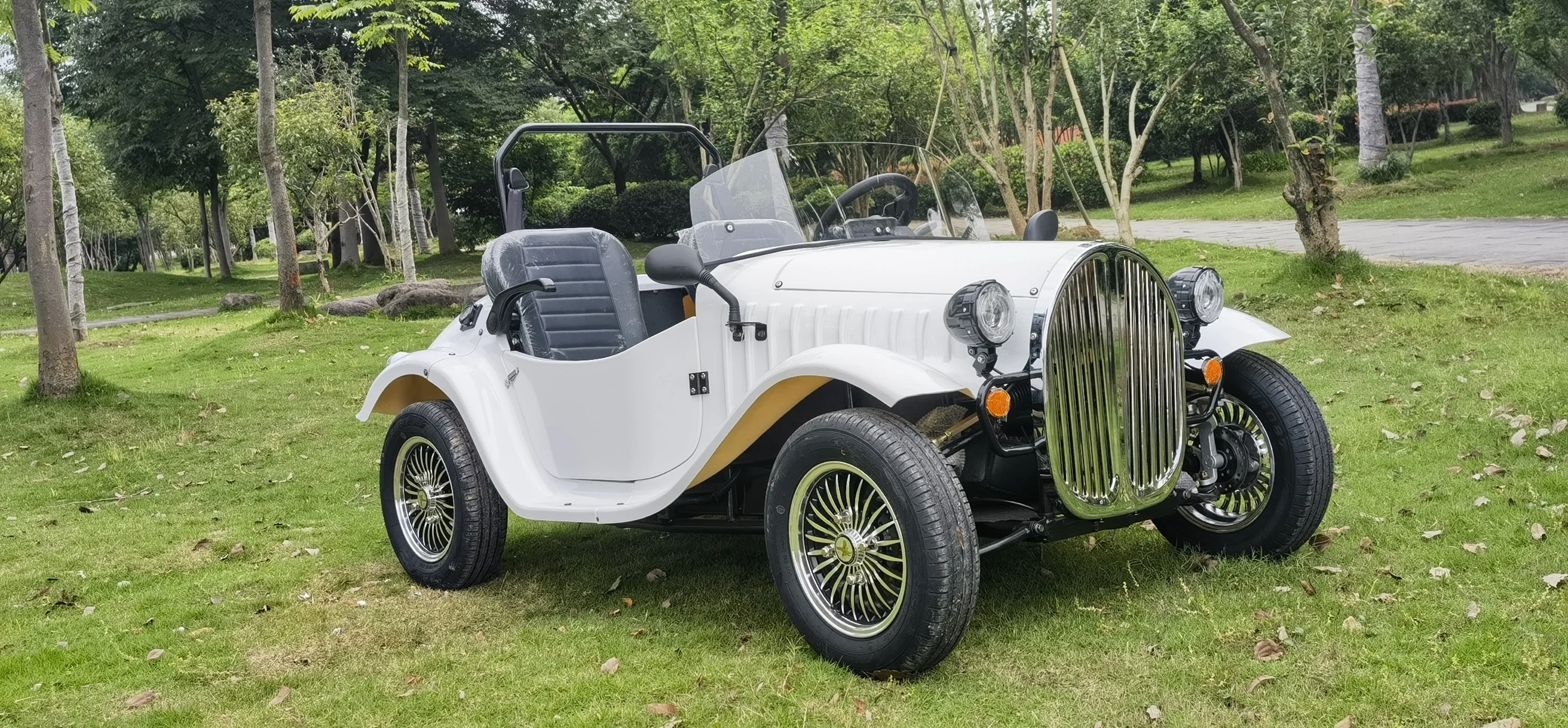 Hot Sale Vintage 72V Customized 2 Seater Side by Side UTV