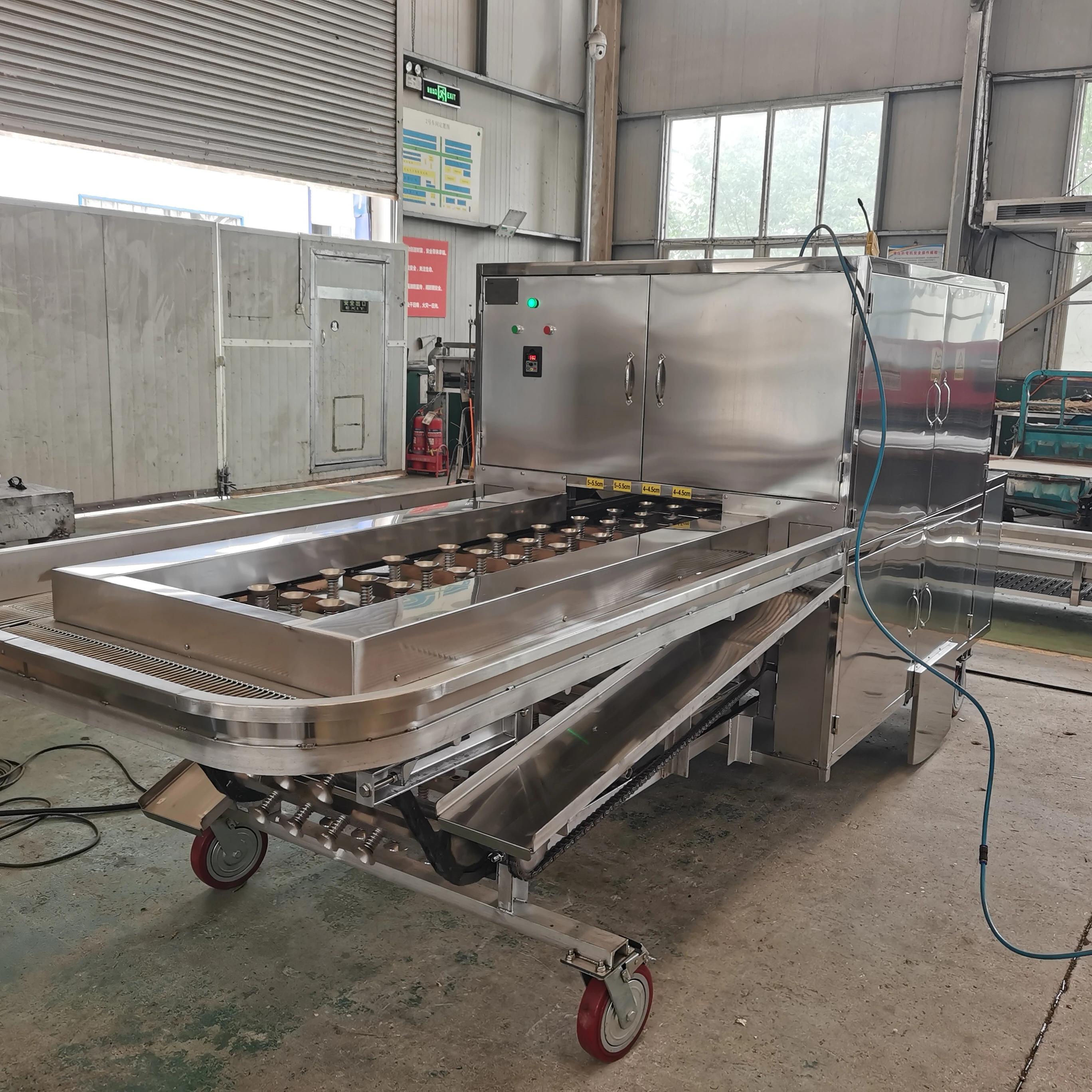 Customized professional Garlic Root And Leaves Removing Machine Garlic ...