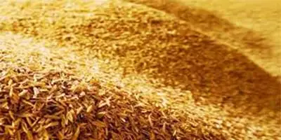 Beston Group Biochar Production Equipment - Rice Husk Charcoal Making ...