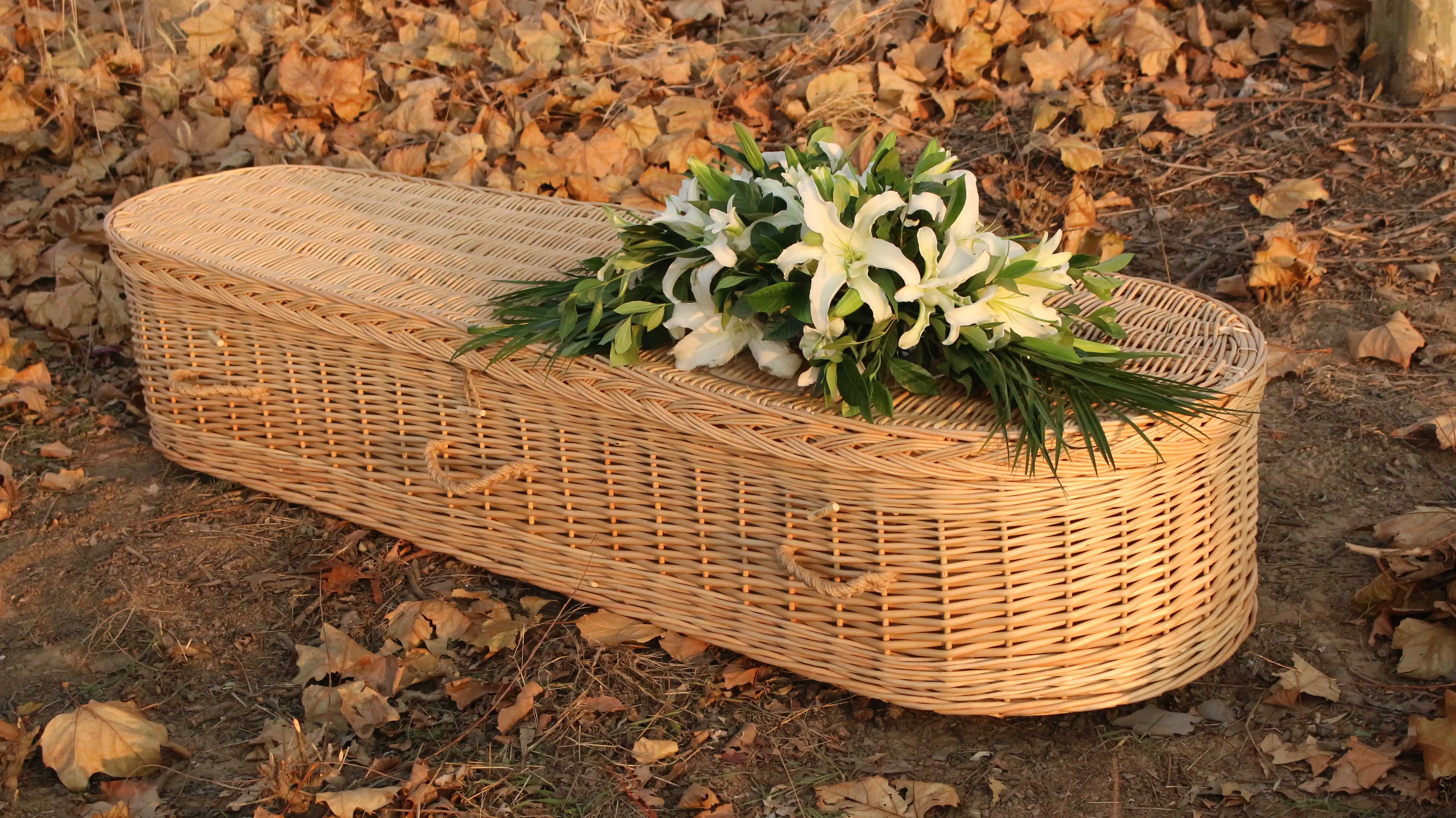 Oem Eco-friendly Biodegradable Funeral Plant Curved Willow Coffin For ...