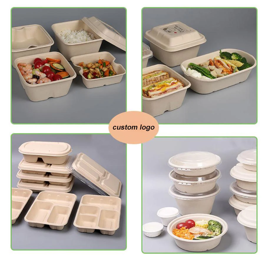 Biodegradable Disposable Compostable Degradable Bagasse Sugarcane ...