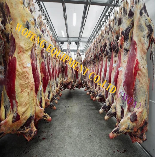 Large Slaughterhouse 250 Cattle Per Hour Halal Meat Processing Plant ...