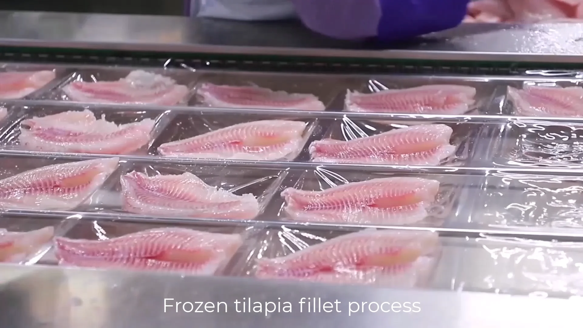 Tilapia Well-trimmed Skin On Tail Wholesale Price 5oz Haccp Frozen ...