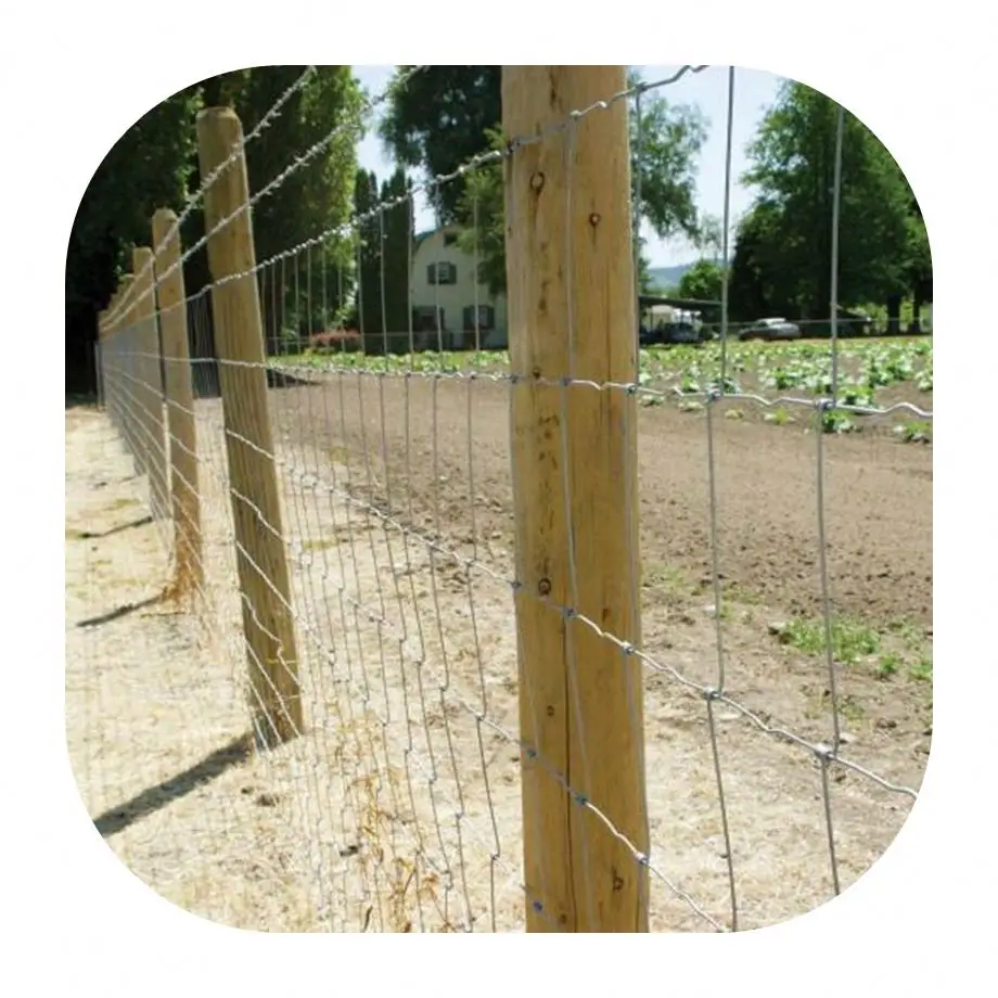 Agriculture Cheap 8Ft Farm Field Fence T Posts For Cattle Fence ...