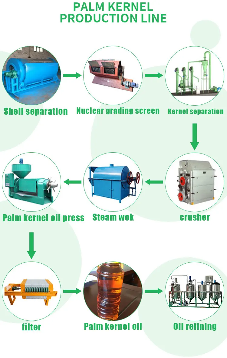 Palm Fruit Oil Press Machine - Efficient Palm Oil Processing