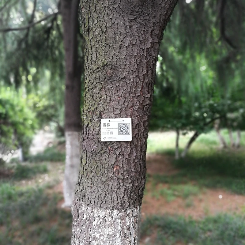 Custom Tree Metal QR Code ID Tags Metal Aluminum QR Code Serial Numbers ...