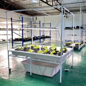 Hydroponic Flood Table System 4x8 Flood And Drain Tray Table For Sale ...