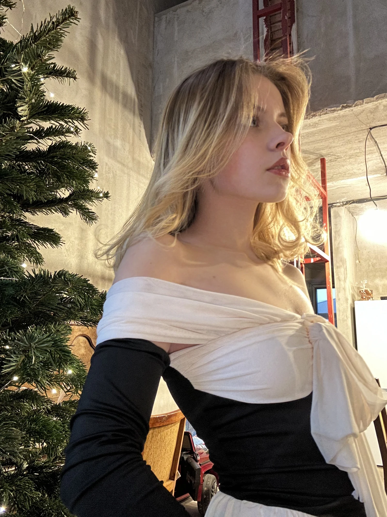 Shop Our Lady Lace up Party a-Line Dress - Elegant & Chic