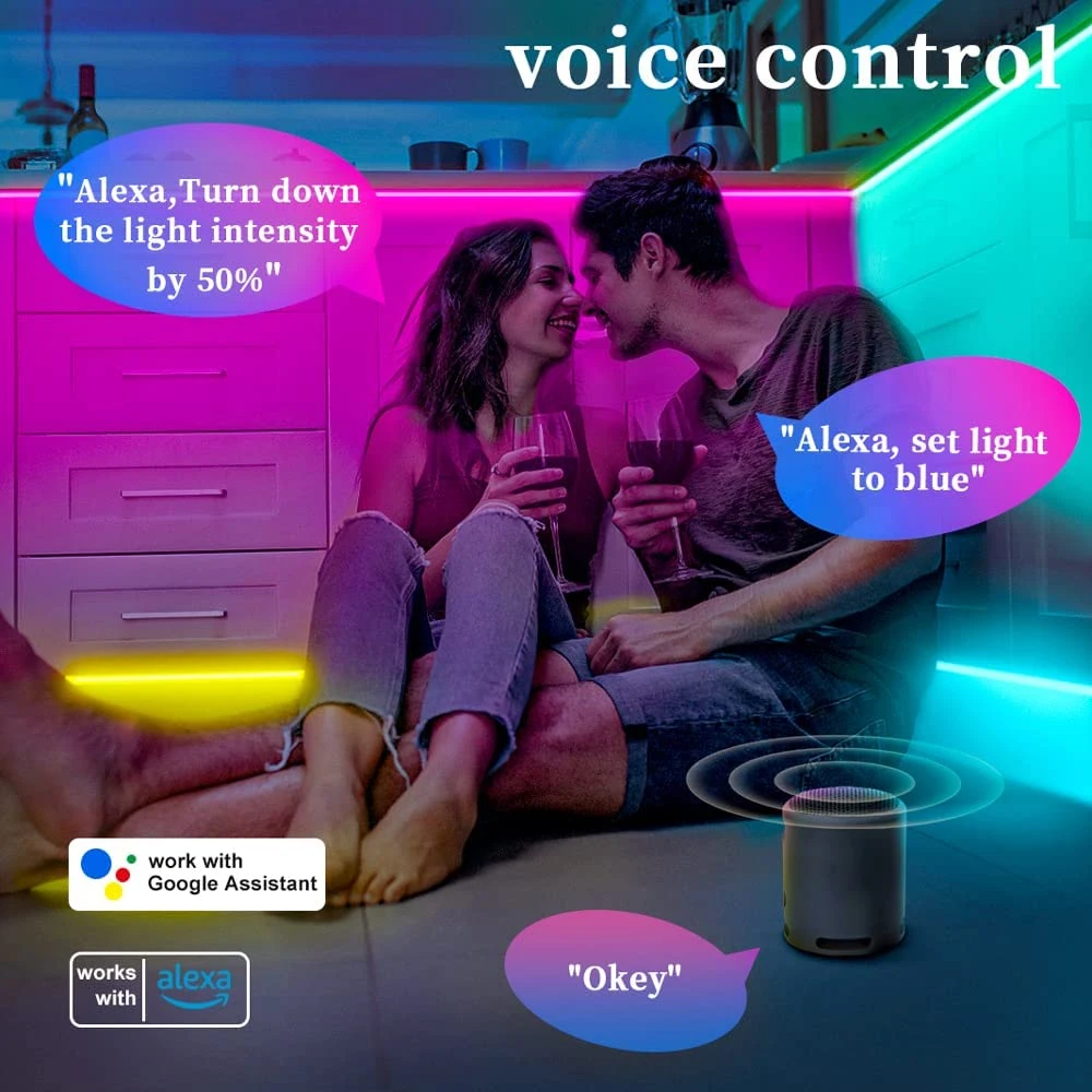 12v Bluetooth Wifi Smart Smart Control Dc24v Rgbic Dream Color Music ...