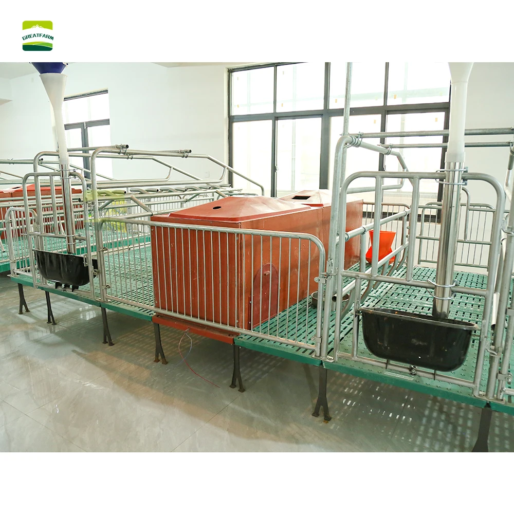 pig farm equipment stall system farrowing crate pig farrowing pen ...