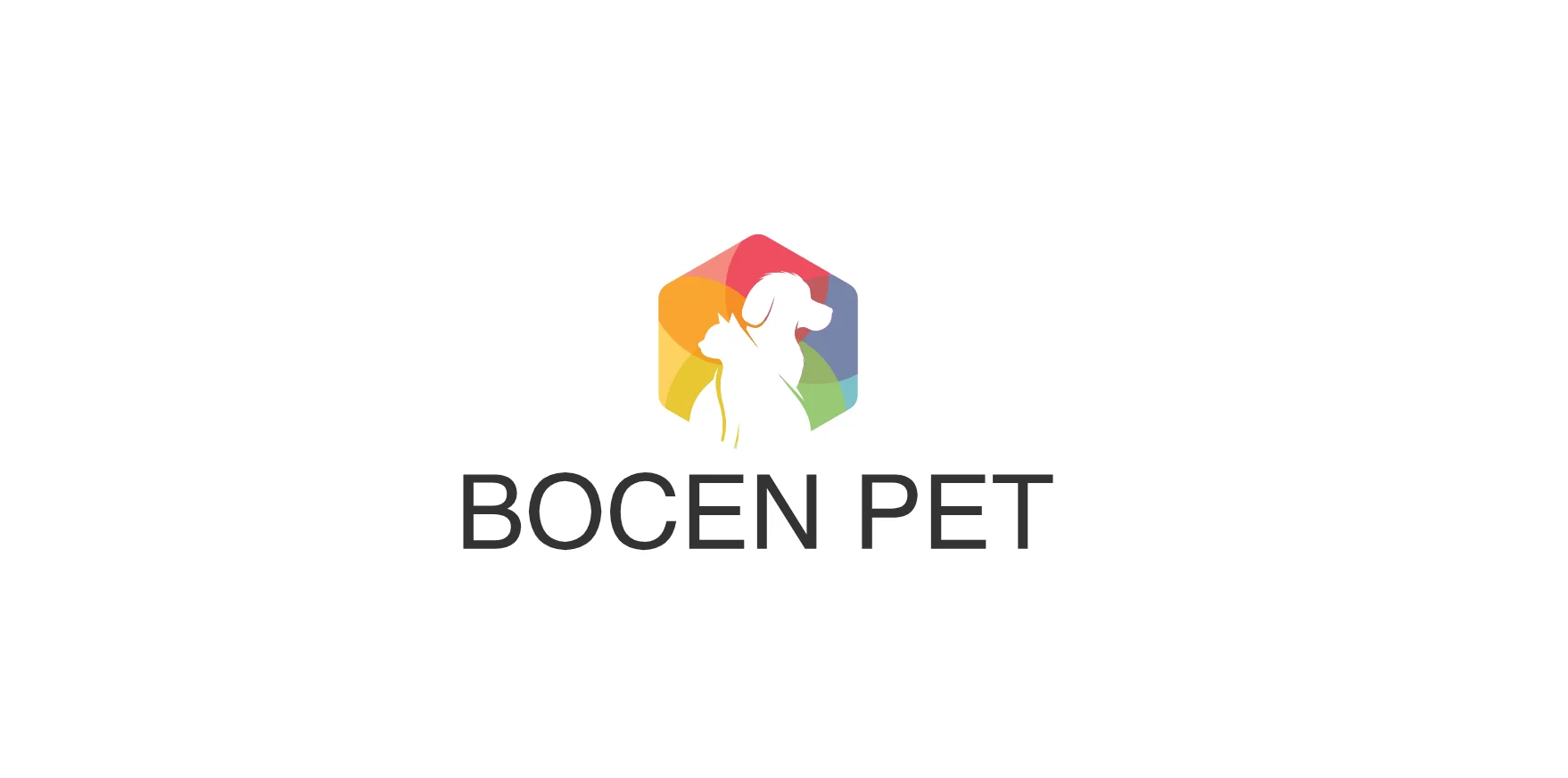 Company Overview - Shijiazhuang Bocen Trade Co., Ltd.