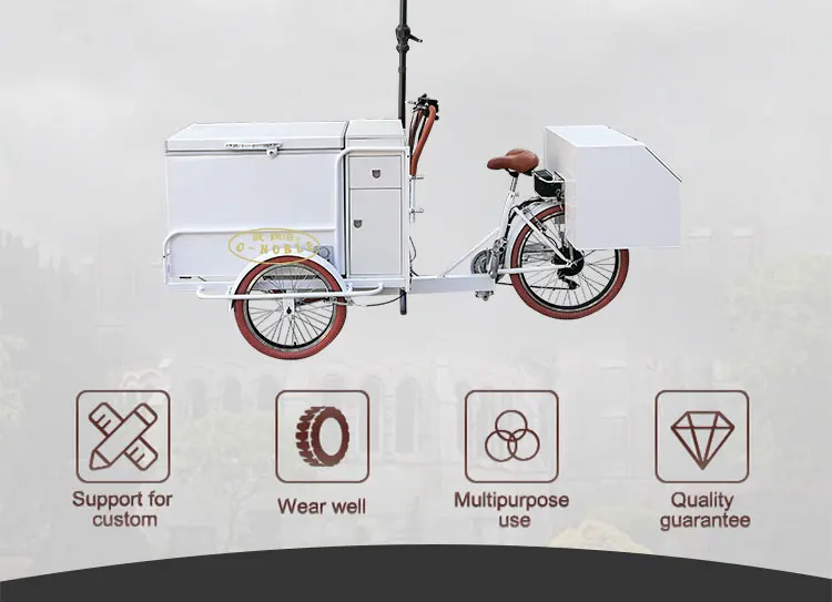 3 Wheel Refrigerator Bike/120l Freezer Bicycle/| Alibaba.com