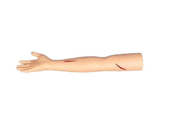 Medical Human Anatomy Model Surgical Incision and Suture Training Arm ...