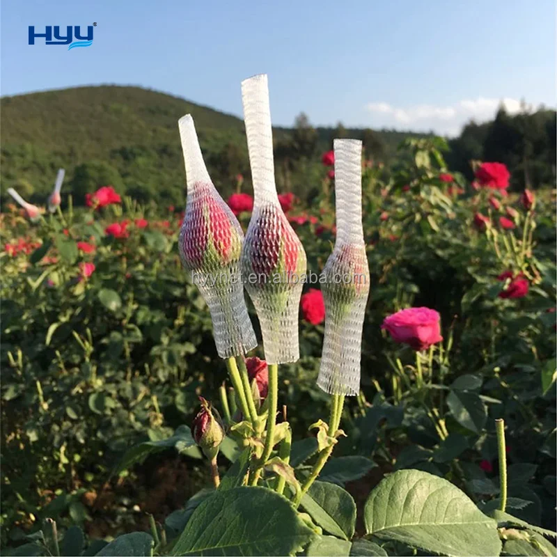 HYY Plastic Flower Protection Net - Durable & Transparent