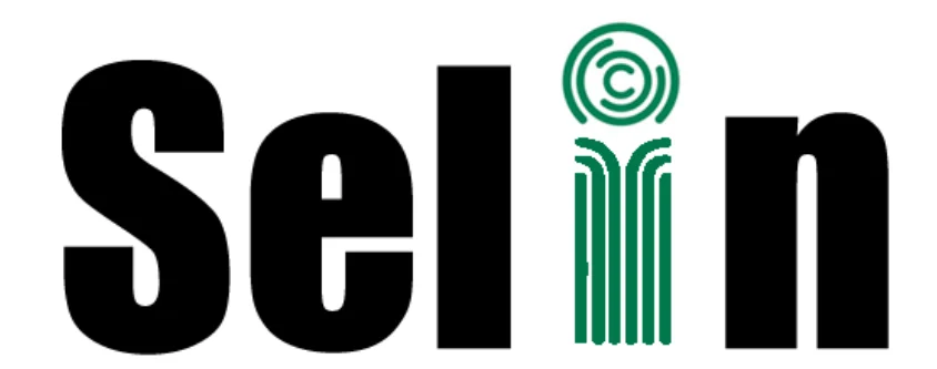Company Overview - Shandong Selin New Materials Co., Ltd.