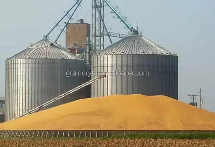 5000 Tons Grain Storage Silos - Durable & Efficient Solutions