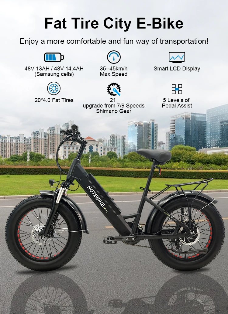 20inch 750w Electric Bike 500w Fat Tire Bicycle Beach Cruise E-bike All ...