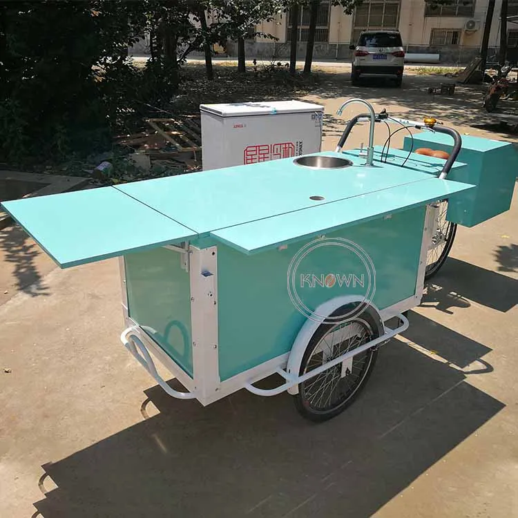 Oem Coffee Trolley Bike With Refrigerator 3 Wheel Electric Solar Ice ...