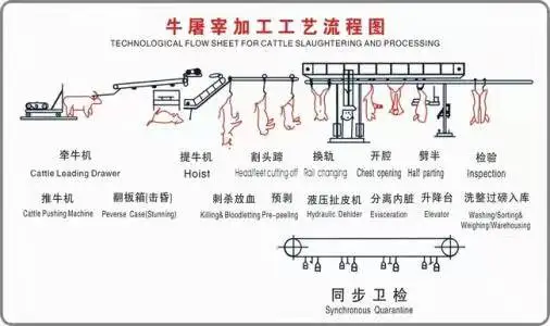 Cattle Slaughterhouse Equipment - High Productivity Line