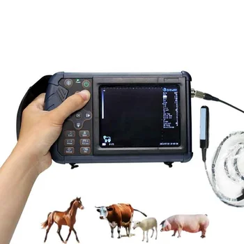 Dawei Handheld Veterinary Ultrasound Animal Ultrasound Scanner - Buy Veterinary Ultrasound ...