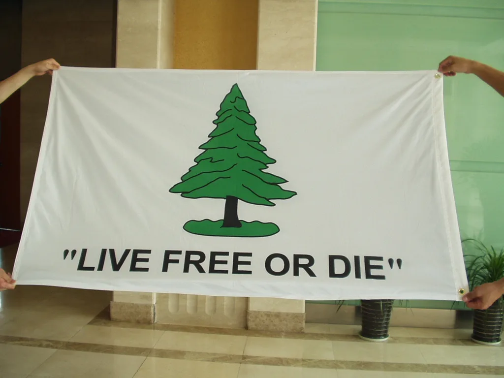 Custom Promotion Flag 3x5ft Custom Sublimation Blank logo Banner Any ...