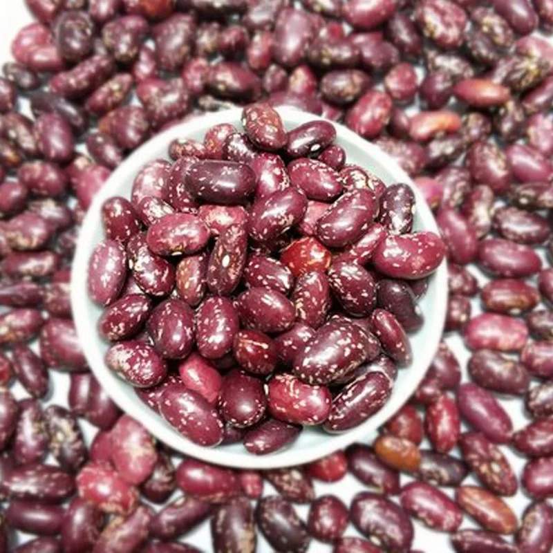 Alibaba.com: Wholesale dried organic pinto beans, red speckled kidney ...