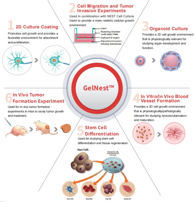 Customizable OEM GelNest Matrix Matrigel Basement Membrane Matrix for ...