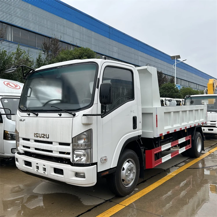 Isuzu Small Cargo Truck for Sales 3tons 5tons Dump Truck Factory Price ...