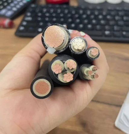 Cjpj Shipboard Cable Tcu Xlpe Insulated Shf2 Sheathed Cable 0.6/1kv ...