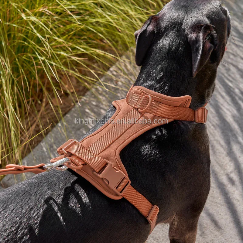 Wholesale Custom Pvc Dog Harness Set With Brand Logo Alloy D Ring Metal ...