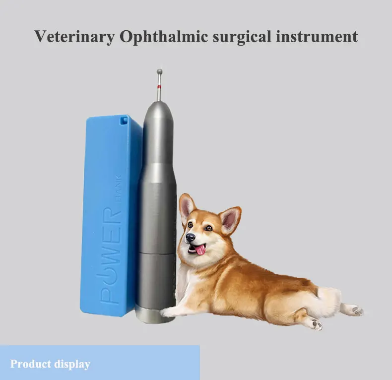 Veterinary Diamond Burr 5.0 Mm Diameter Eye Surgery Ophthalmology ...