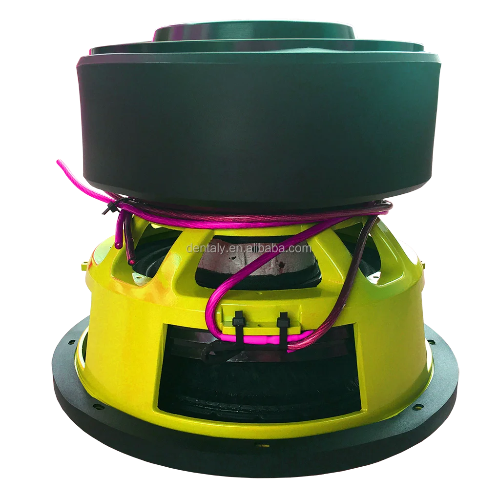 Dentaly Professional 12inch & 15inch Subwoofer Speakers