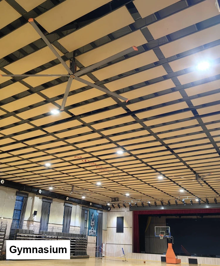 RTFANS 13ft Fan - Efficient HVLS Solutions for Schools & Malls