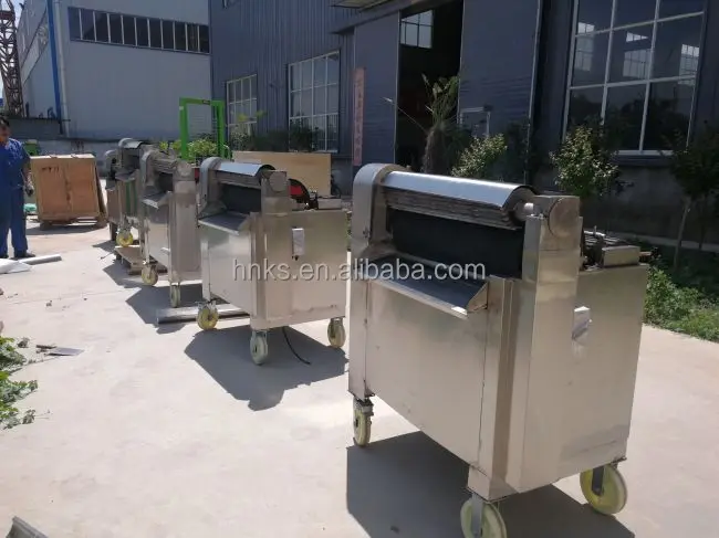 Pork Intestine Casing Cleaning Machine - Efficient & Durable