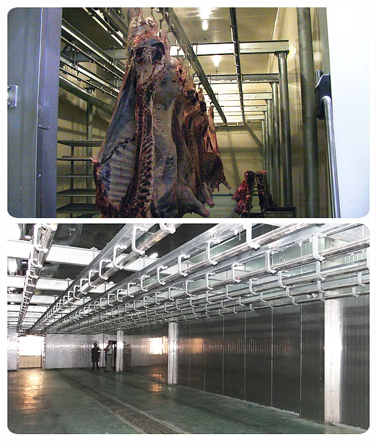 Efficient Donkey Slaughter House with Meat Processing