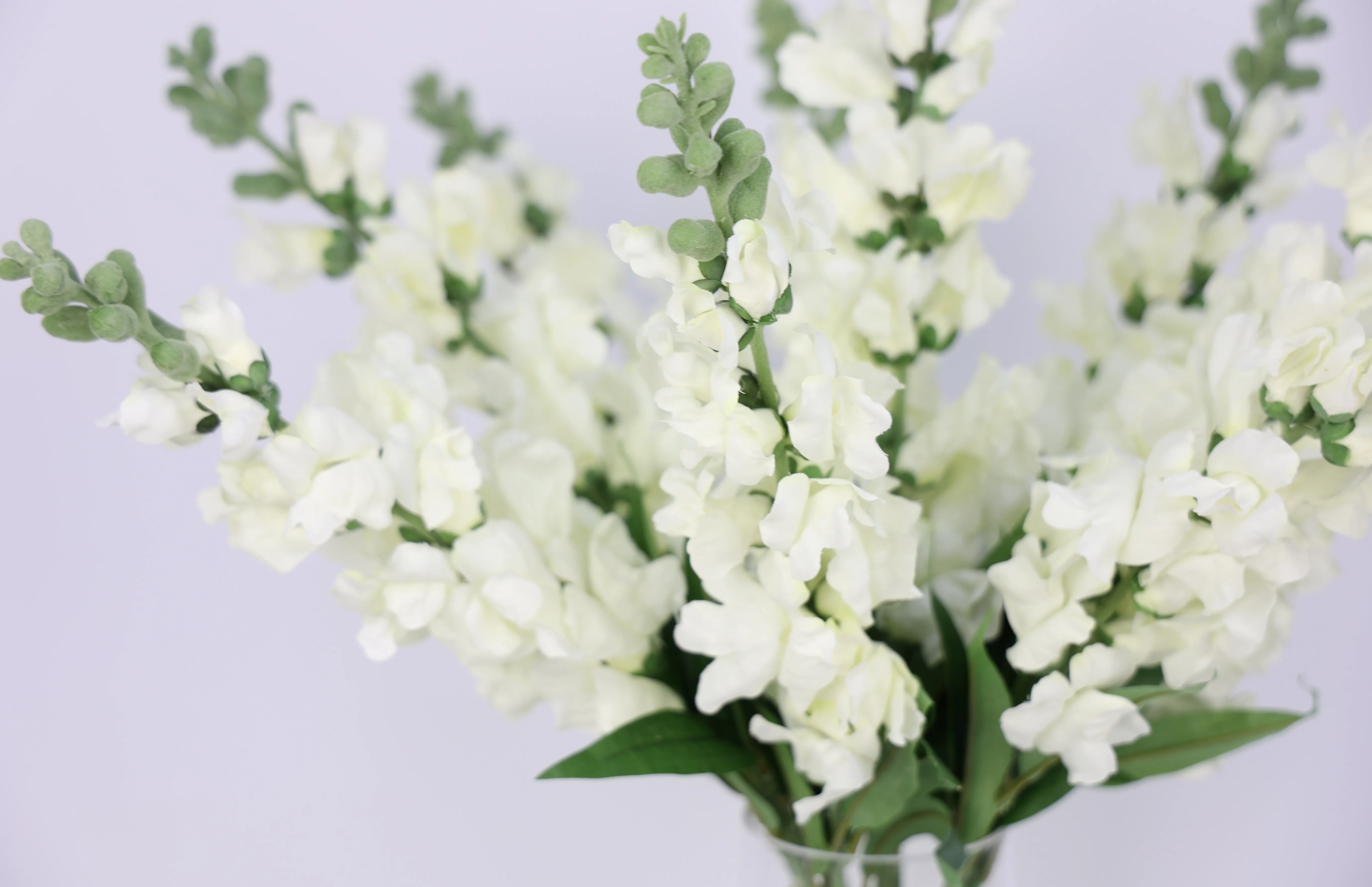 Wholesale High-Quality Artificial Snapdragon Flowers for Wedding and ...