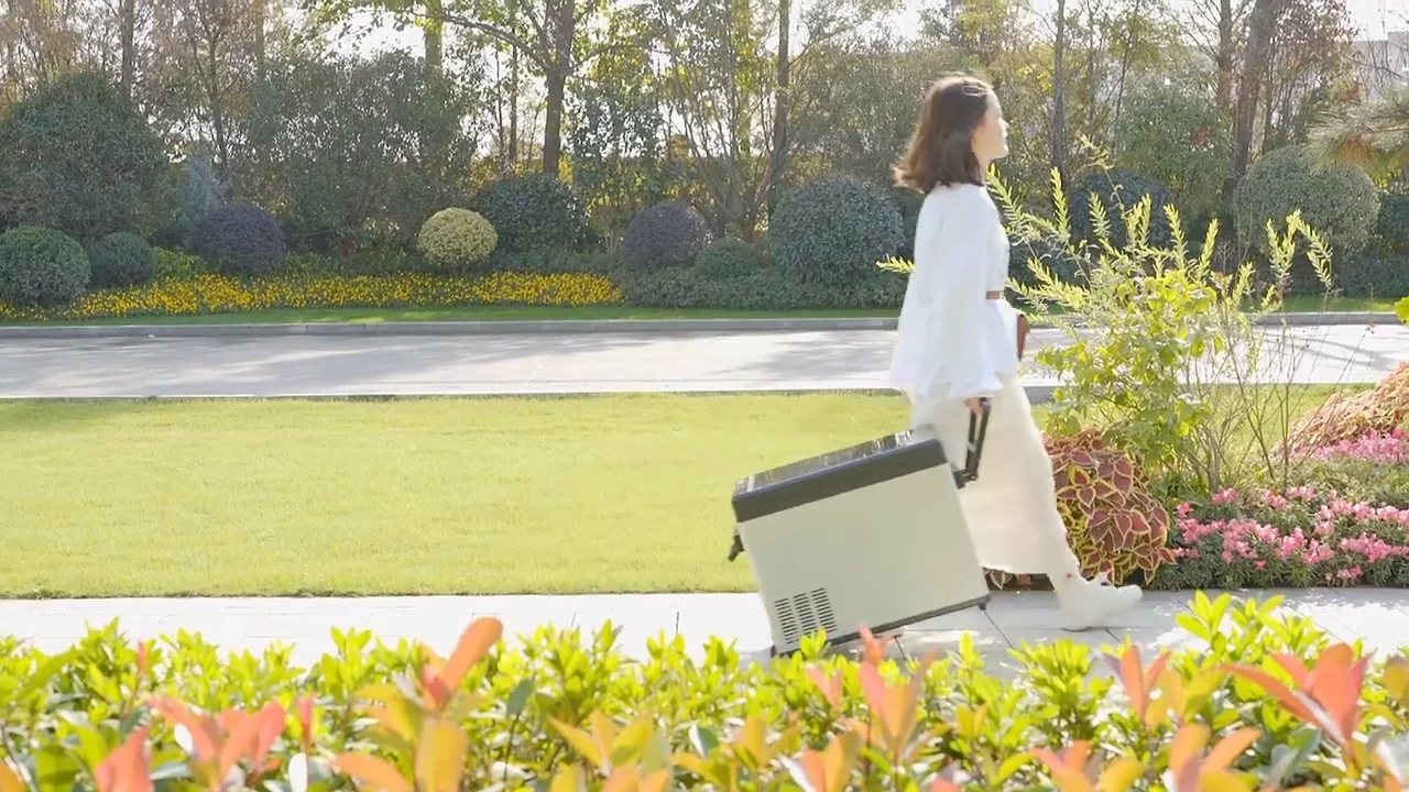 12v 24v Dc 50l Portable Refrigerator Camping Compressor Fridge 12 Volt ...