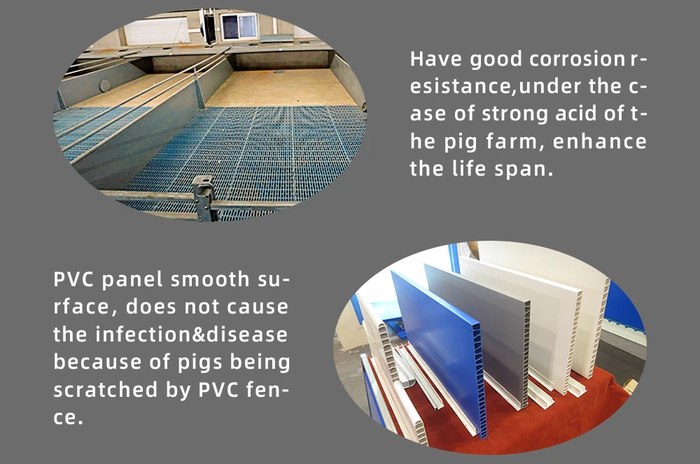 Pig Farming Equipment 600*35 Waterproof PVC Ceiling for Pig Crates ...