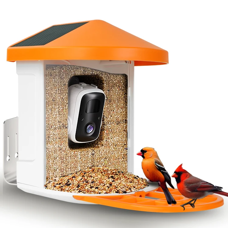Smart Outdoor Waterproof Ai Detect 10,000 Bird Species Squirrel-proof ...