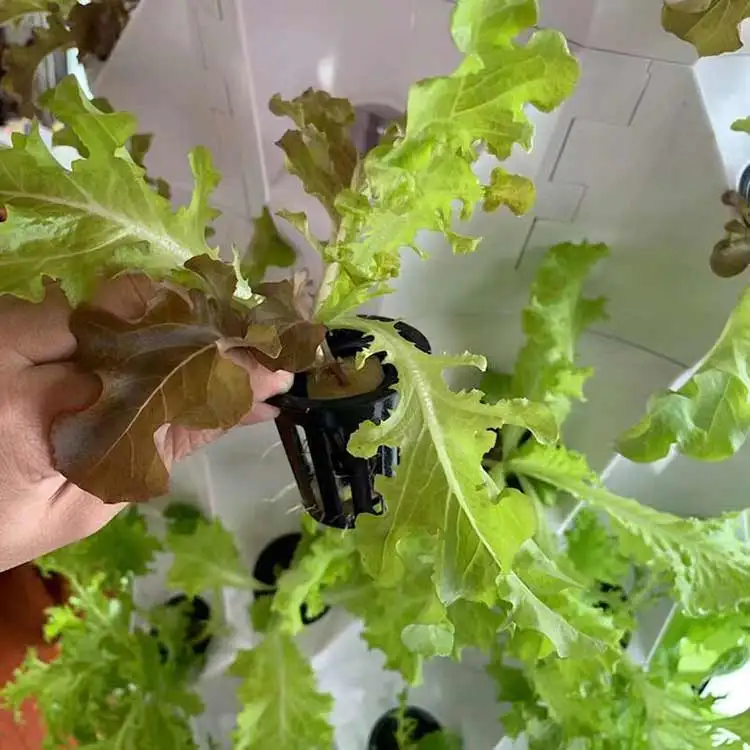 80 Pot Hydroponic Aeroponics Indoor Hydroponic Growing Farm Complete ...