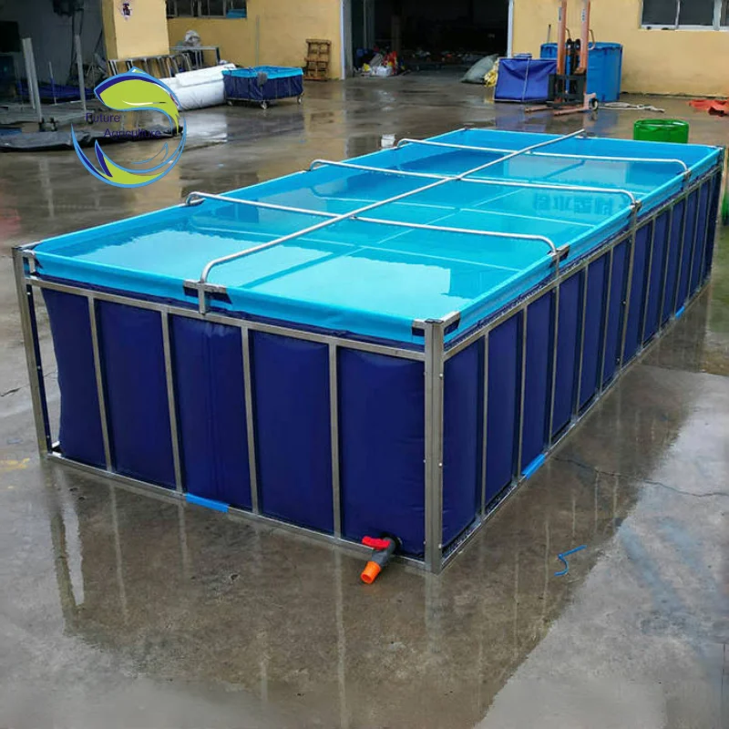 Above Ground Aquaculture - Efficient Fish Farming Solutions
