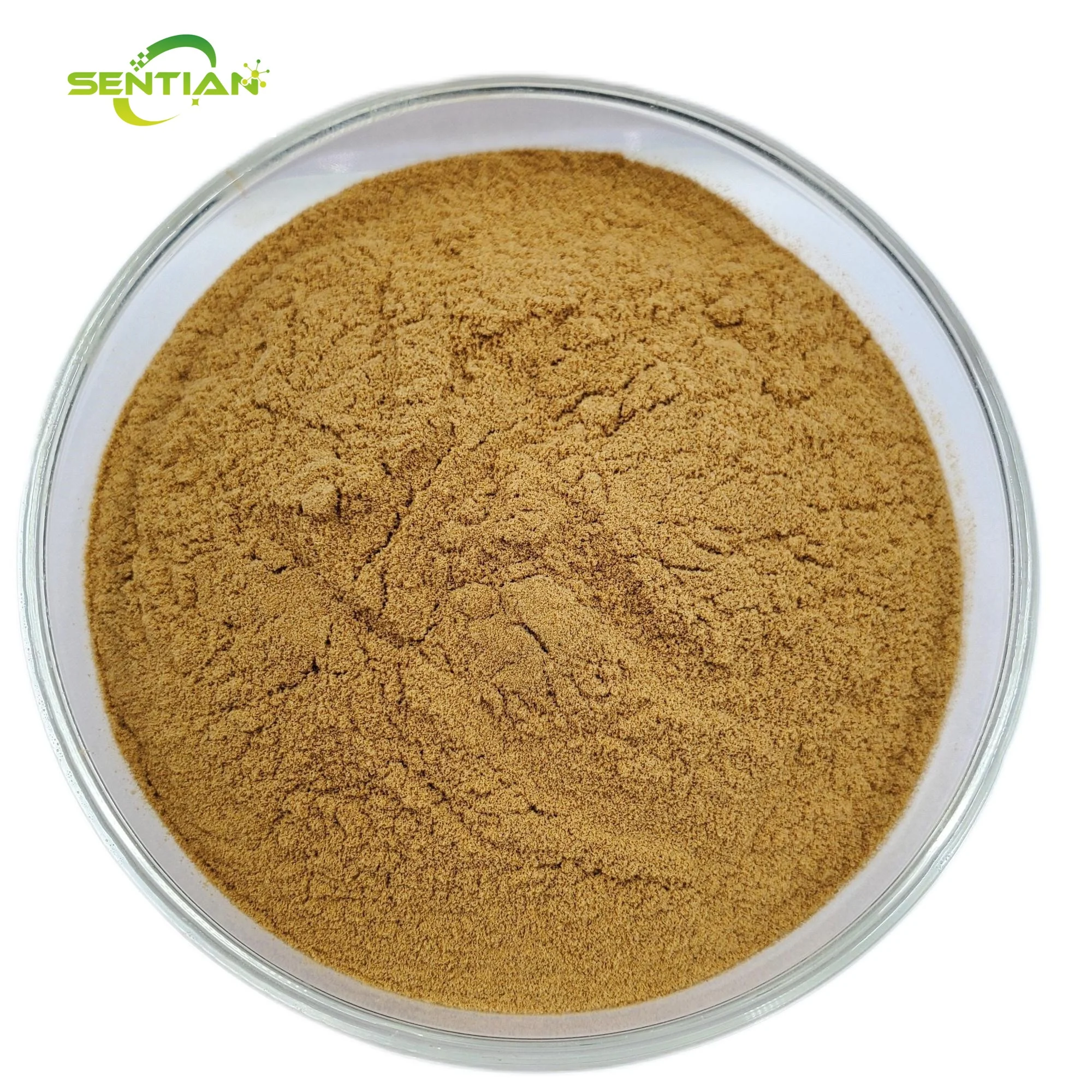Bovine Colostrum Powder - Immune Support & Growth Factors