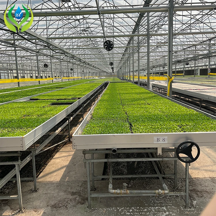 MYXL Hydroponic Tables Indoor Growing System Wire Mesh Flood Table Grow ...