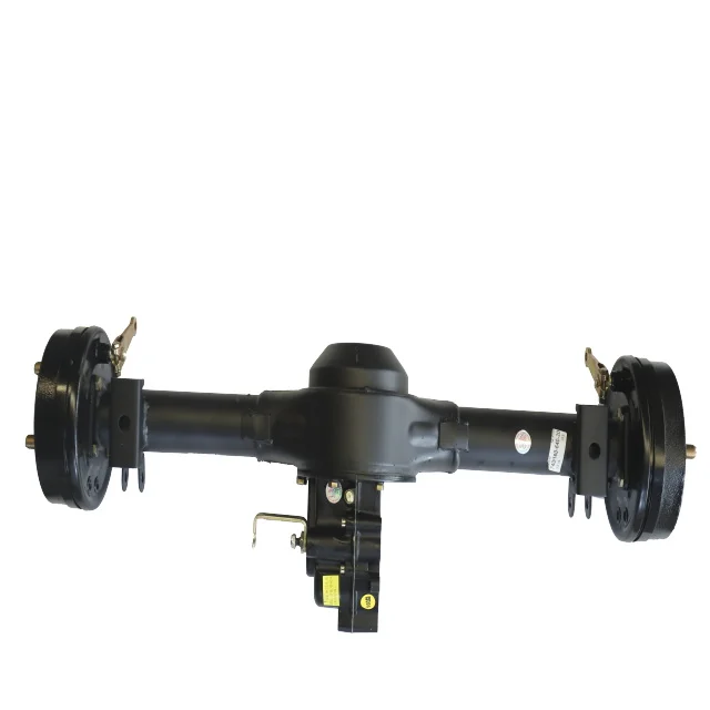 Selling Well around the World Buggy Rear Axle Differential