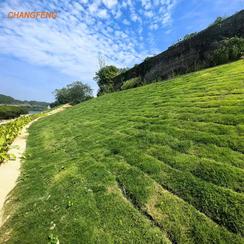 Geosynthetic Erosion Control Mat Three-Dimension Virgin 3D Geomat with ...