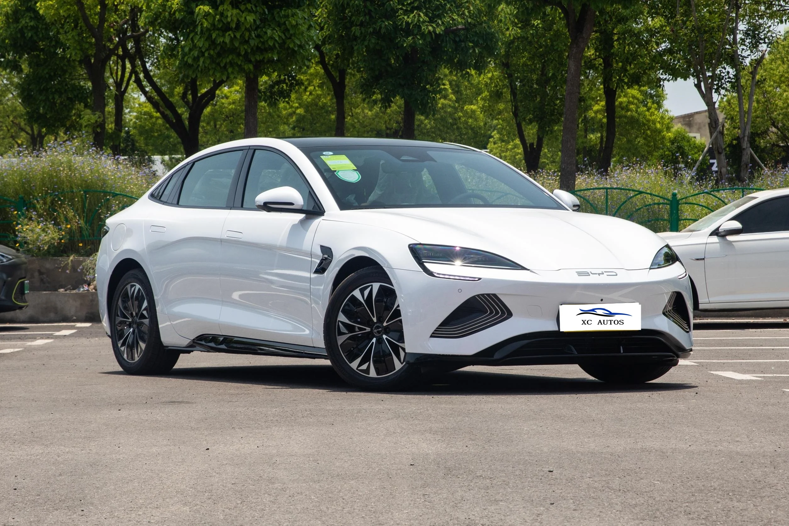 Byd Dolphin Ev Flagship New Energy Vehicle Pure High Speed Smart 5 Seat ...