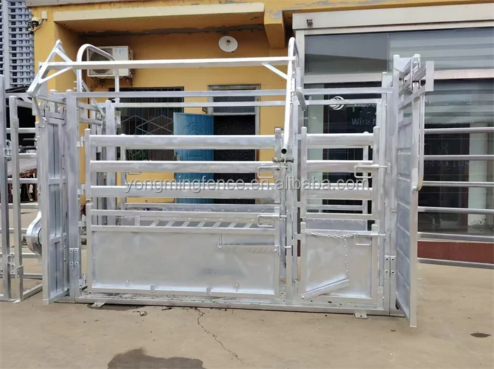 Heavy Duty Galvanized Cattle Panels for Australian Livestock Yards and ...