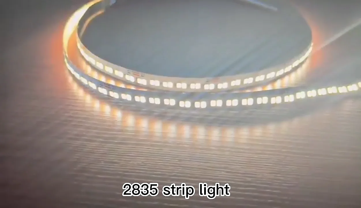 24v 2835 Dual Color Cct Tunable White Light Strip 120led/m Adjustable ...