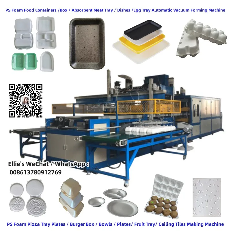 Disposable Plastic Cups & Paper Plate Machine - High Speed