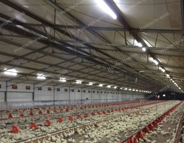 Chicken Farm Led Tube Light Waterproof Dimmable Led Lights Feed ...